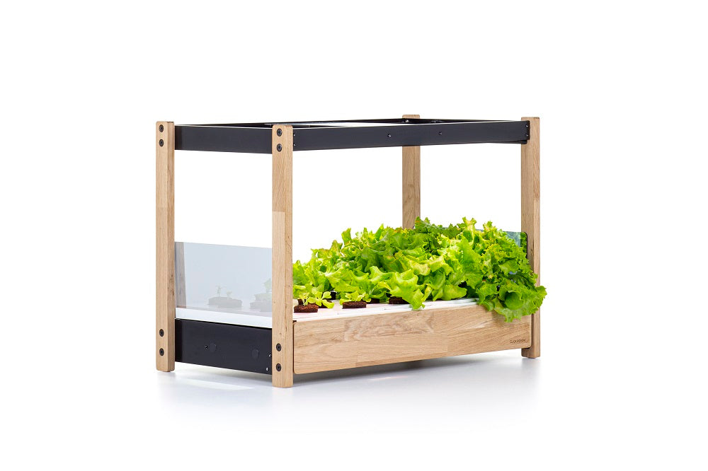 Click & Grow 25: Here’s What Product Testers Loved Most – Click & Grow ...