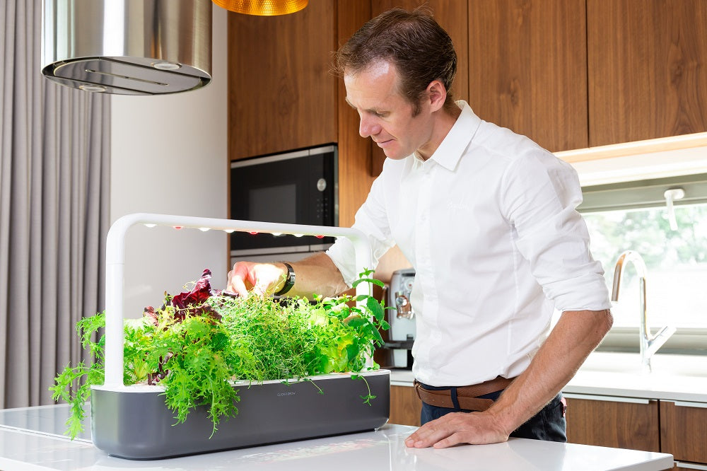 How to get the most out of your Smart Garden – Click & Grow Singapore