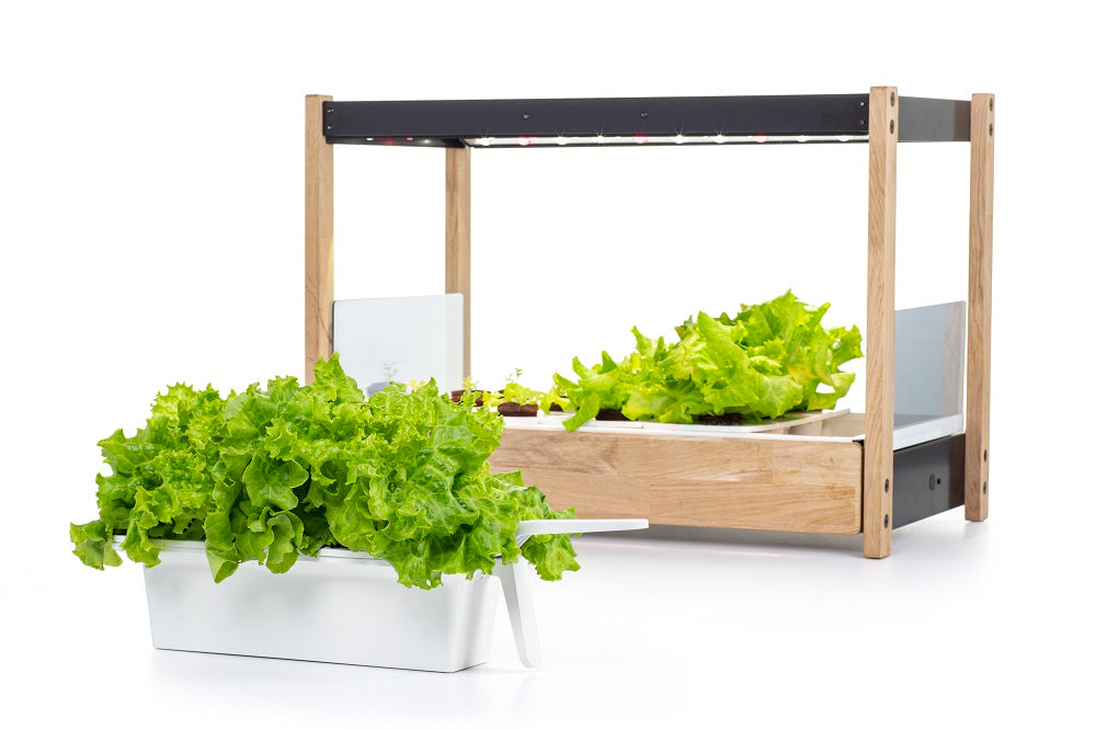 Click & Grow 25 Product Mission: an Interview with CEO Mattias Lepp ...